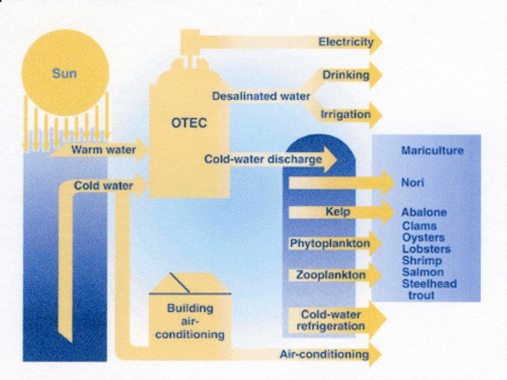 BLUE REVOLUTION HAWAII: THE PACIFIC INTERNATIONAL OCEAN STATION
