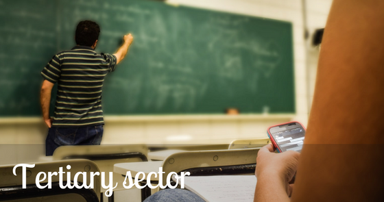 Tertiary economic activity: definition, background, examples | Economic ...