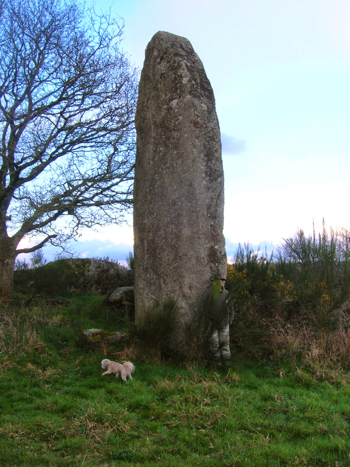 Rosquelfen: Mégalithe du Néolithique