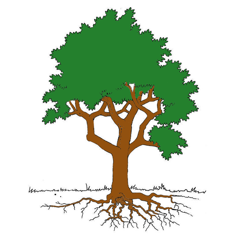 Crapouillotage: L'arbre : Livret de définitions [EDIT]