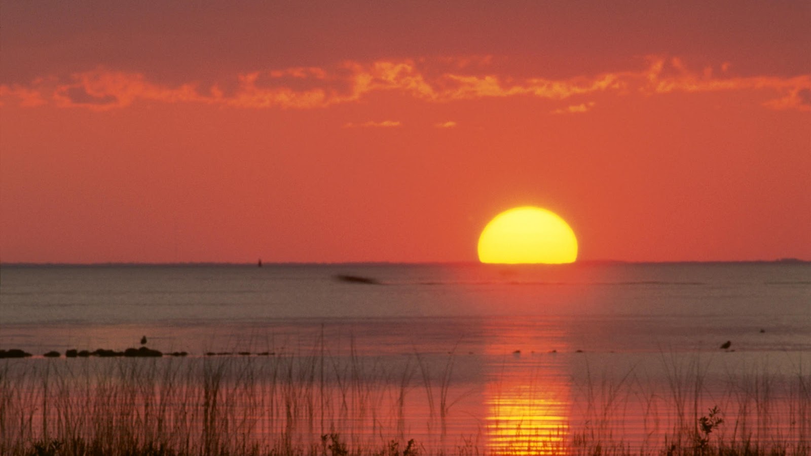 El sol en el horizonte