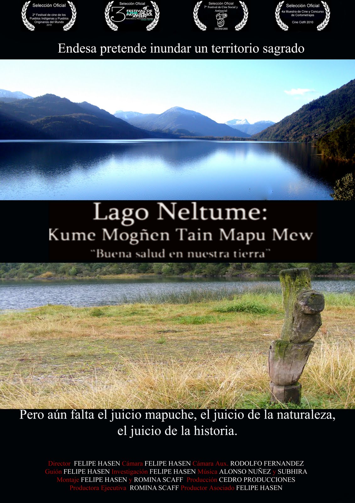 Lago Neltume Documental: POSTERS