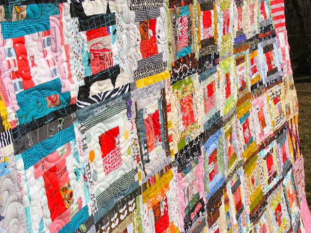 TIA CURTIS QUILTS: Jennifer's (TFEQ) quilt