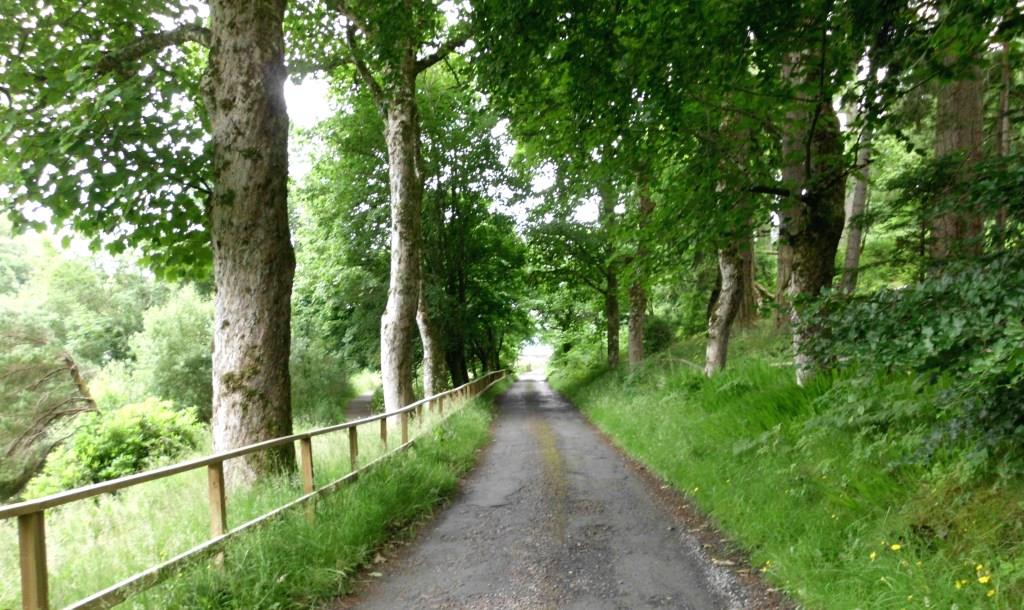 My Daily Walk: Flowerdale Waterfall and a spin round Loch Gairloch