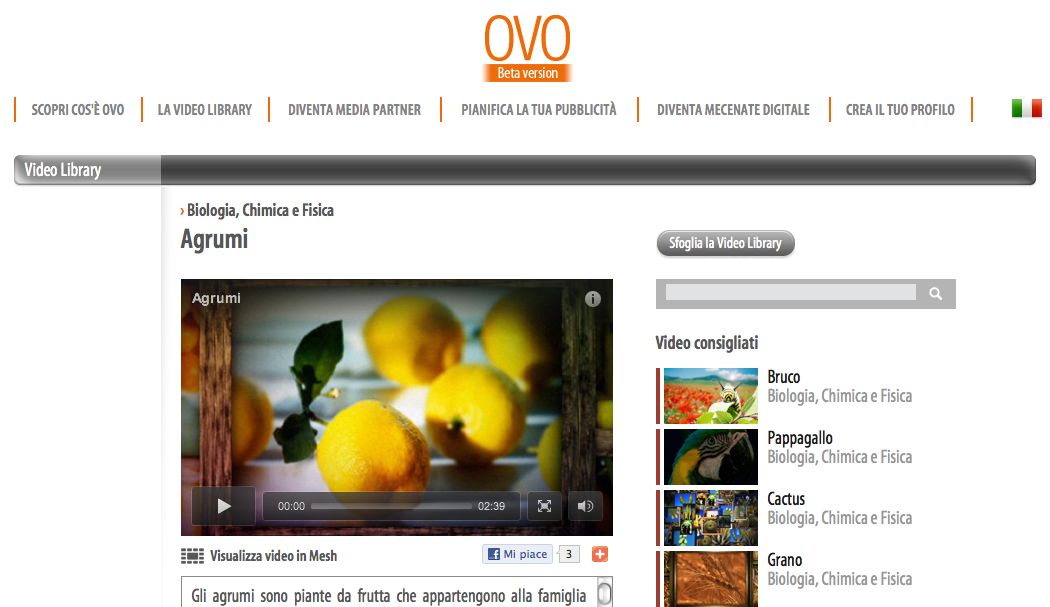 francesca frames...: maggio 2011