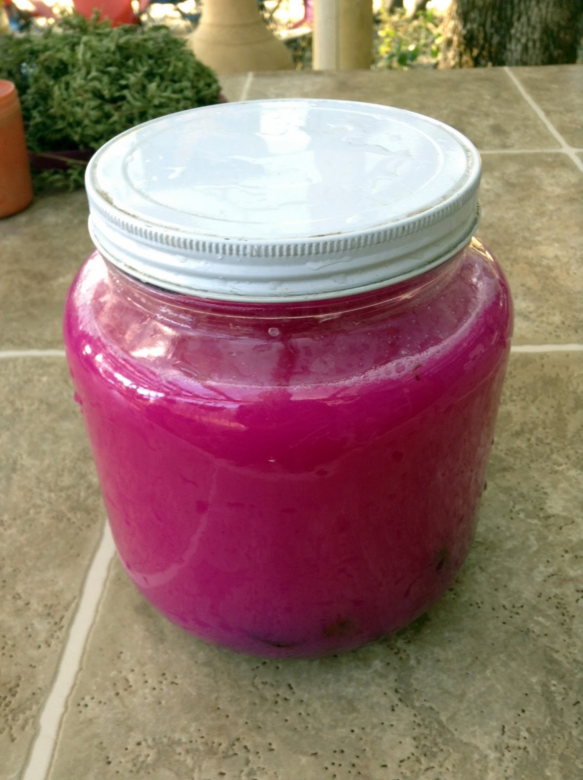 Laughing Heart Living : Lets Make Kvass!