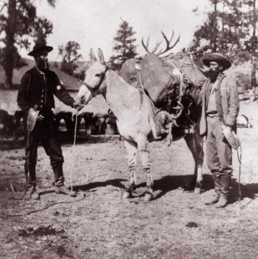 Joyful Public Speaking (from fear to joy): Mules over mountains - a ...