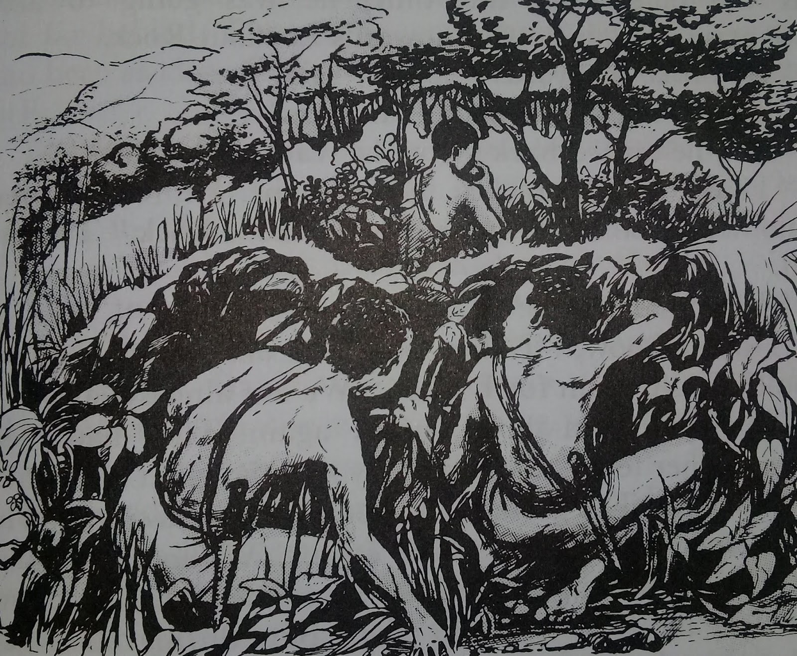 The Young Warriors by V.S Reid.