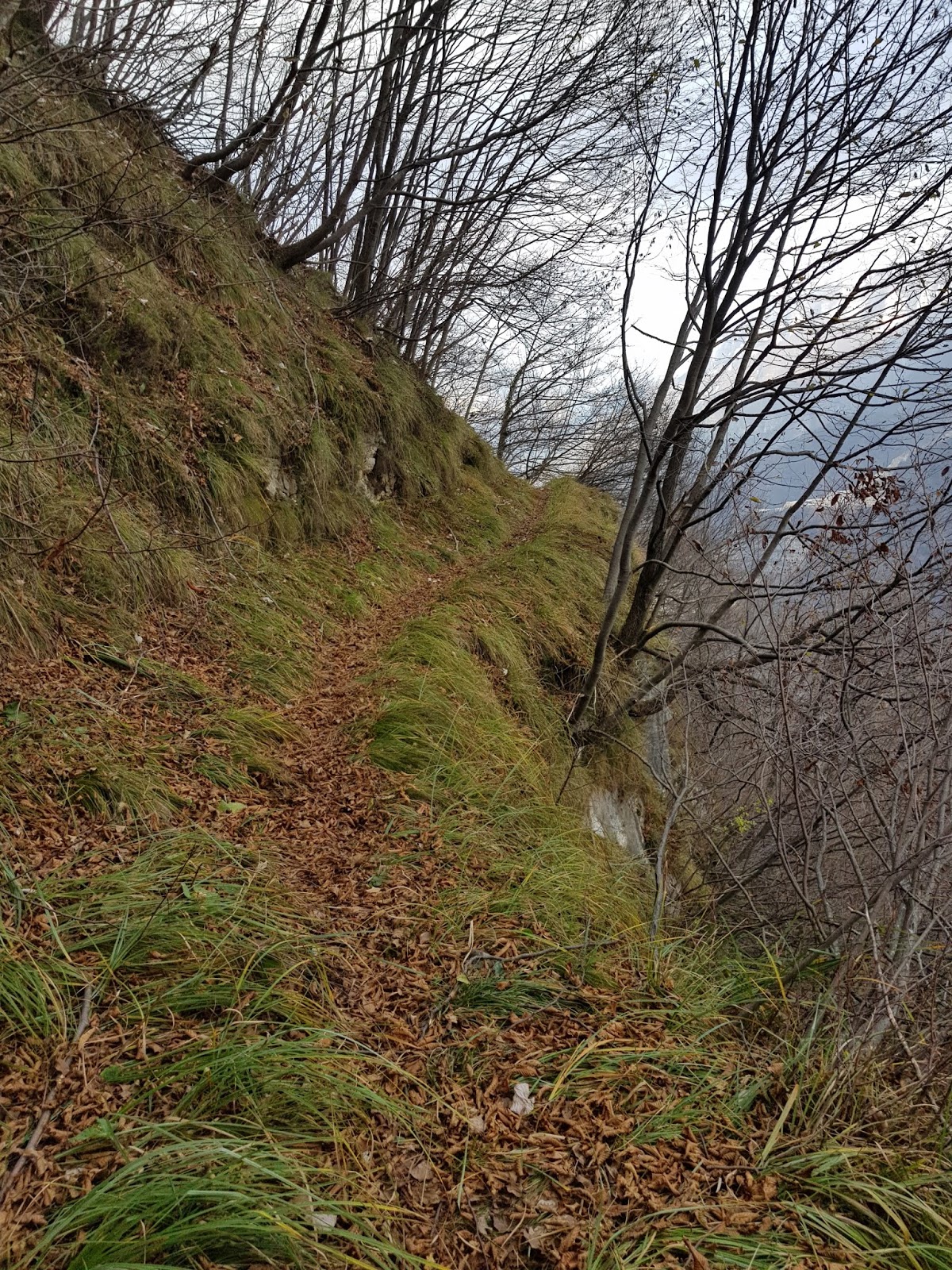 Su strade e sentieri: COL D'ASTIAGO (m. 1.241) - SENTIERO DEL VU - Val ...