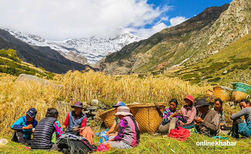 Limi valley Humla (Photo feature)