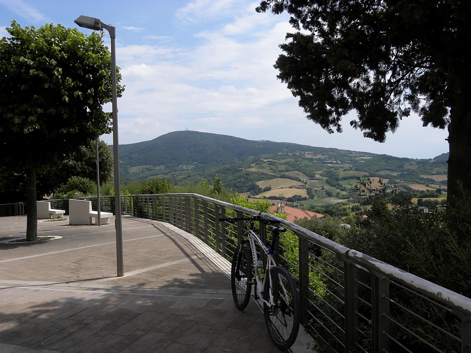 Camerano ( AN ), terra del Rosso Conero - THE MARCHE EXPERIENCE