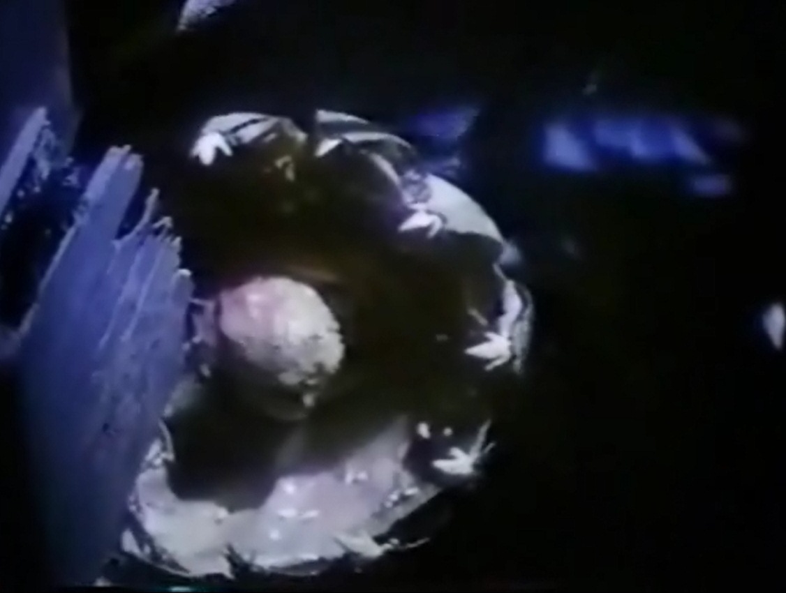 A Field Guide To Doomsday: Devastation Drive-In — 'Blood Beach' (1980)