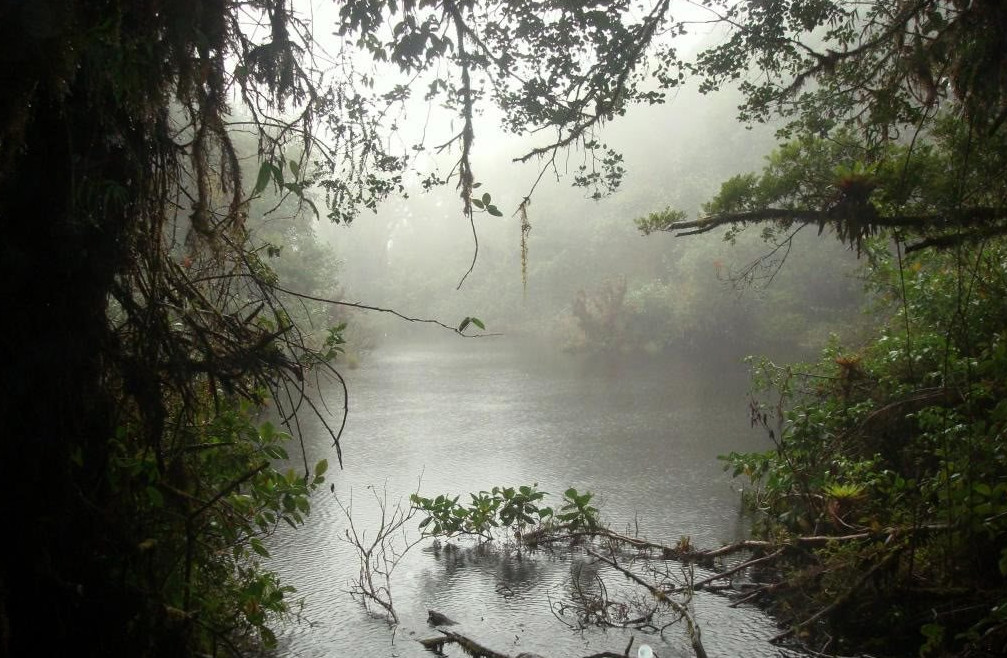 ECOSISTEMAS DE COSTA RICA: LAGUNAS BARVA, DANTA Y COPEY
