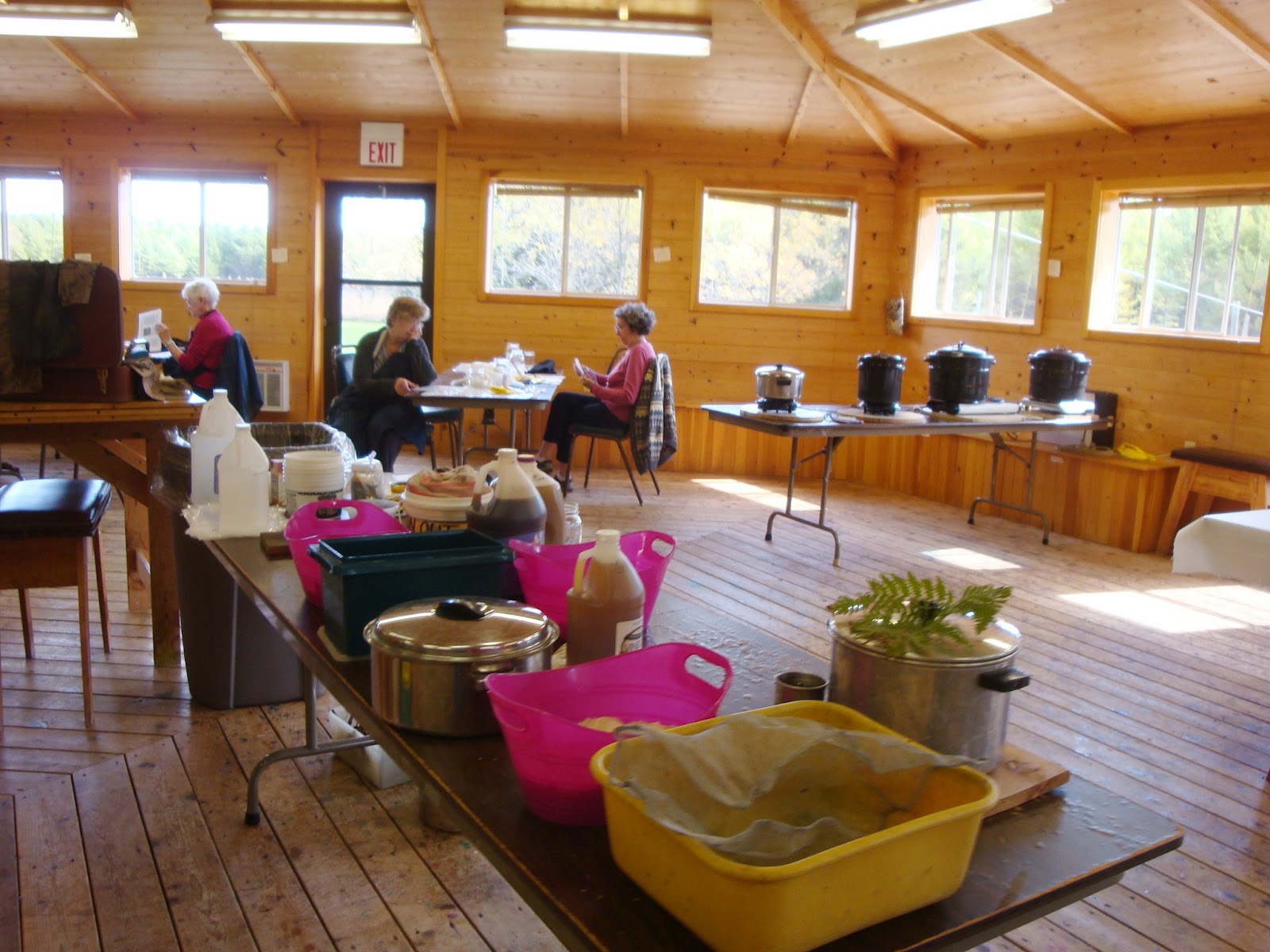 Two Red Threads: Harvesting Color -- Bracken