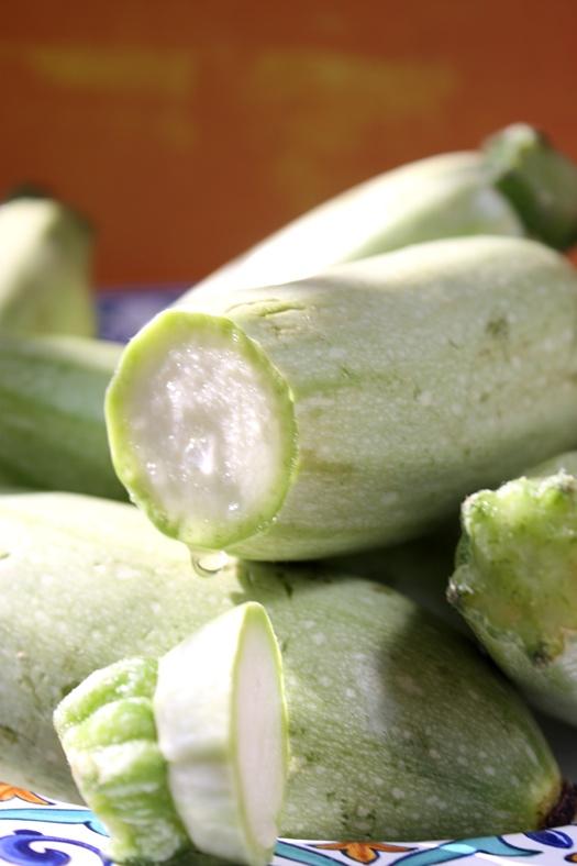 Stuffed Cousa in Lemon Herb Sauce | Fresh Levant Bistro