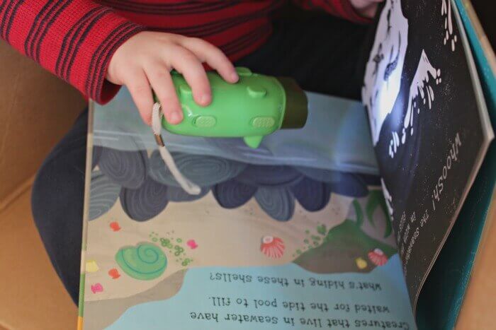 Make an Easy Flashlight Fort with Books to Discover | Sunny Day Family