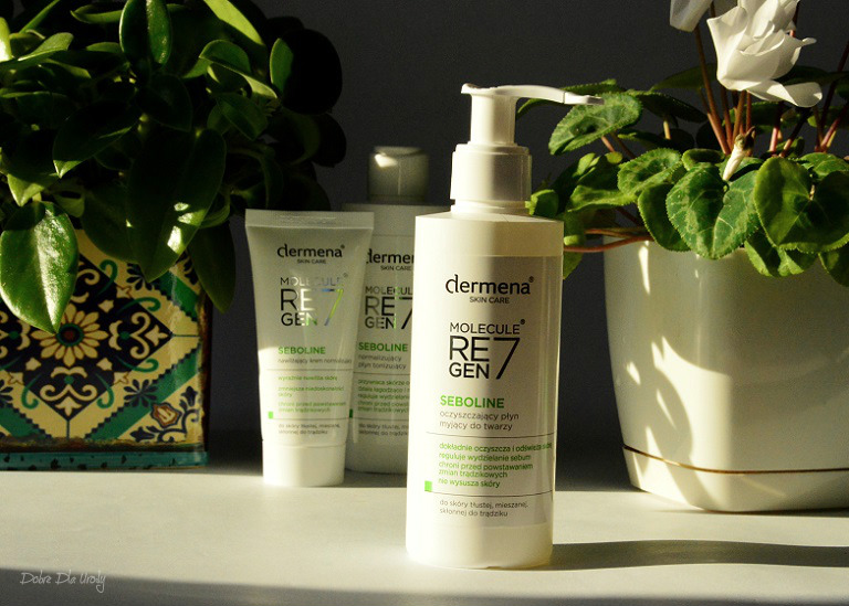 Dobre Dla Urody: Pielęgnacja cery mieszanej i tłustej z Dermena ...
