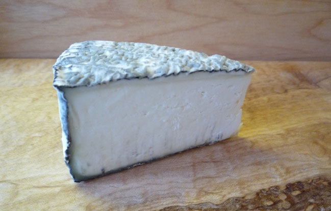 Cheez-Elle: Grey Owl