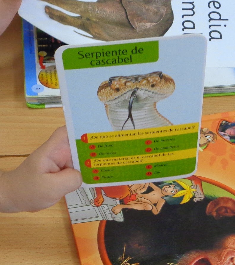 INFANTIL de GRACIA: SSSSSSSSSSSSSSSSERPIENTES: NUESTRA ANACONDA RECTA ...