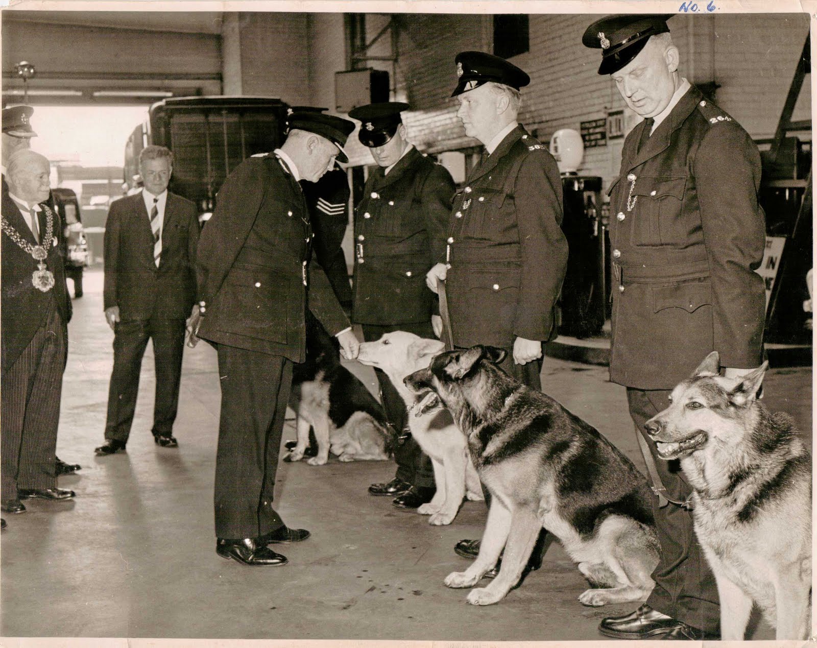UK Police Dog history: Bradford City Police Dogs 1961-1974