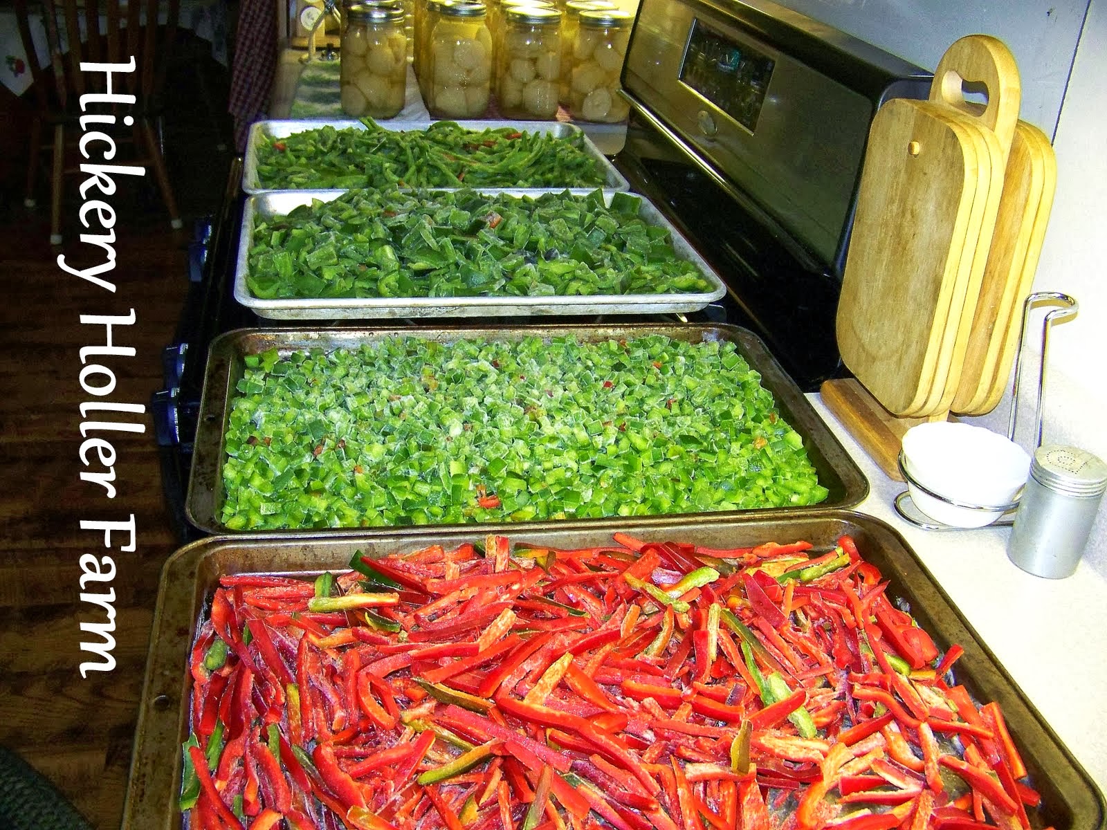 Hickery Holler Farm: Peppers