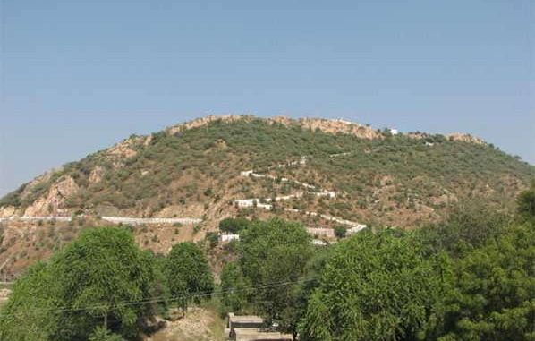 14. Shri Shri Govardhan Hill