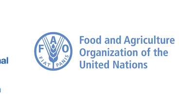 The Global Miller: 16/10/2017: IFIF and FAO strengthen collaboration at ...