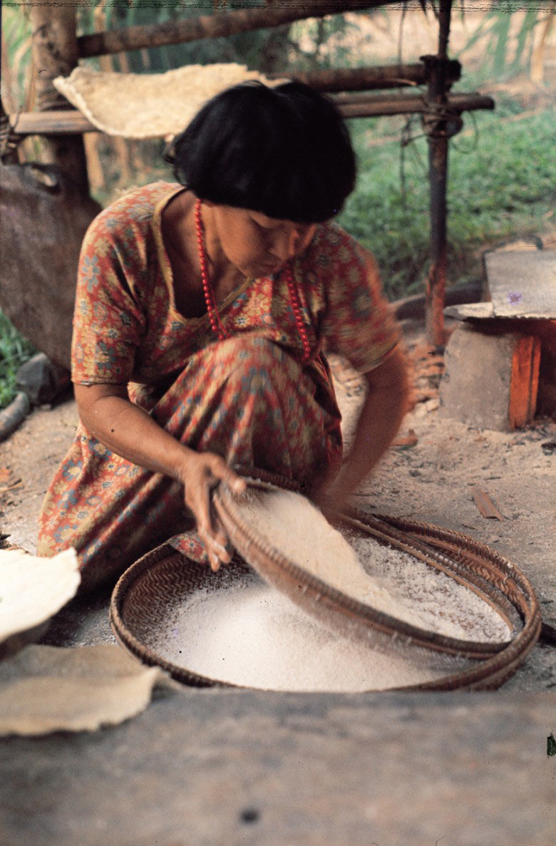 B&P_desde_Guayana: PUINAVE; RENOVADORES DEL MUNDO Y SU DIOSA YOPINAI