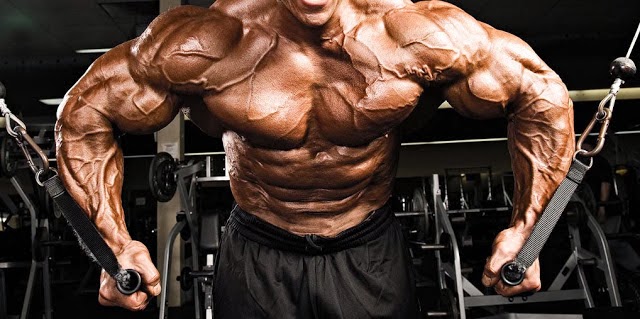 Chest muscle exercises at home. | bodybuilding, fitness and health ...