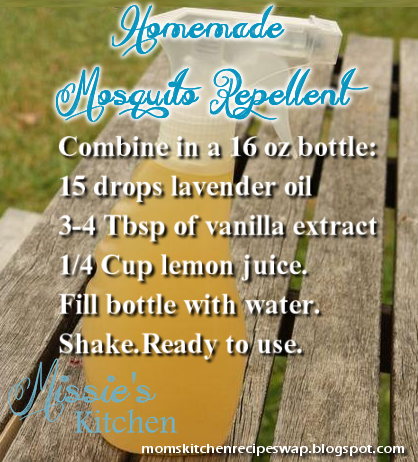 Vanilla Extract Mosquito Repellent Recipe
