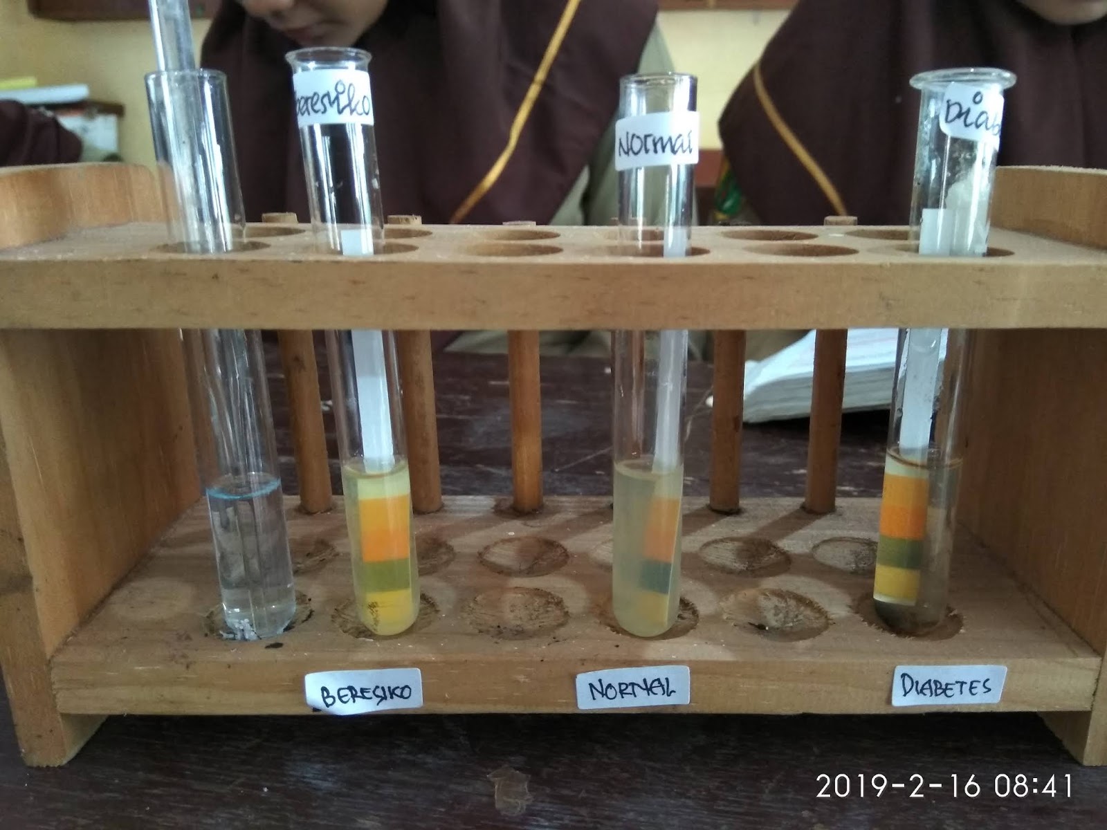 Praktikum Uji Kandungan Urin Manusia Oleh Kelas XI MIA 2 dan XI MIA 3 ...