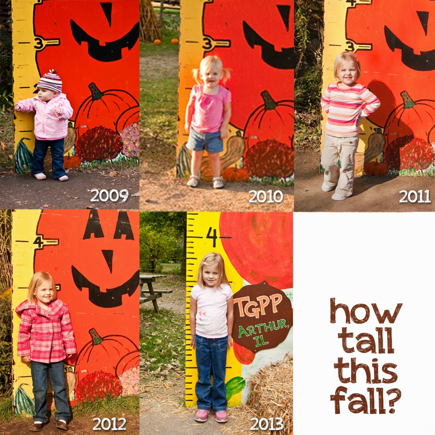 emily's photo blog: October 12: Martha Stewart Day