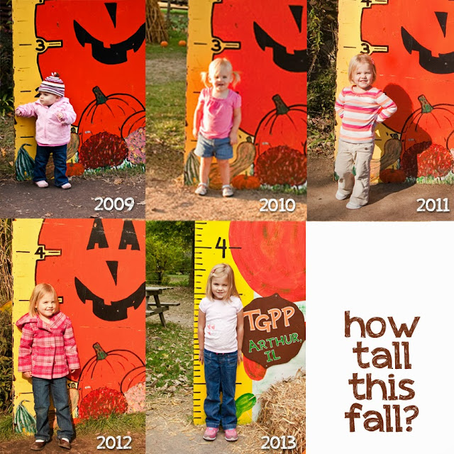 emily's photo blog: October 12: Martha Stewart Day