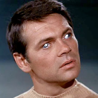 The Captain's Blog...