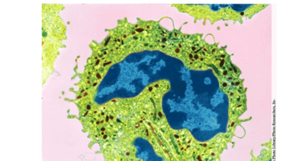 Chapter 7 Cell Structure And Function Concept Map - Map