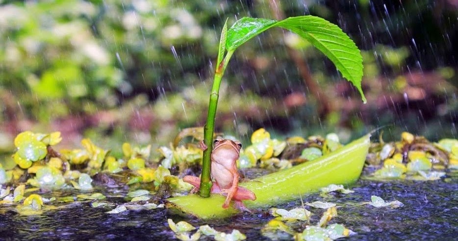 50 Powerful Photos Capture Extraordinary Moments In The Wild