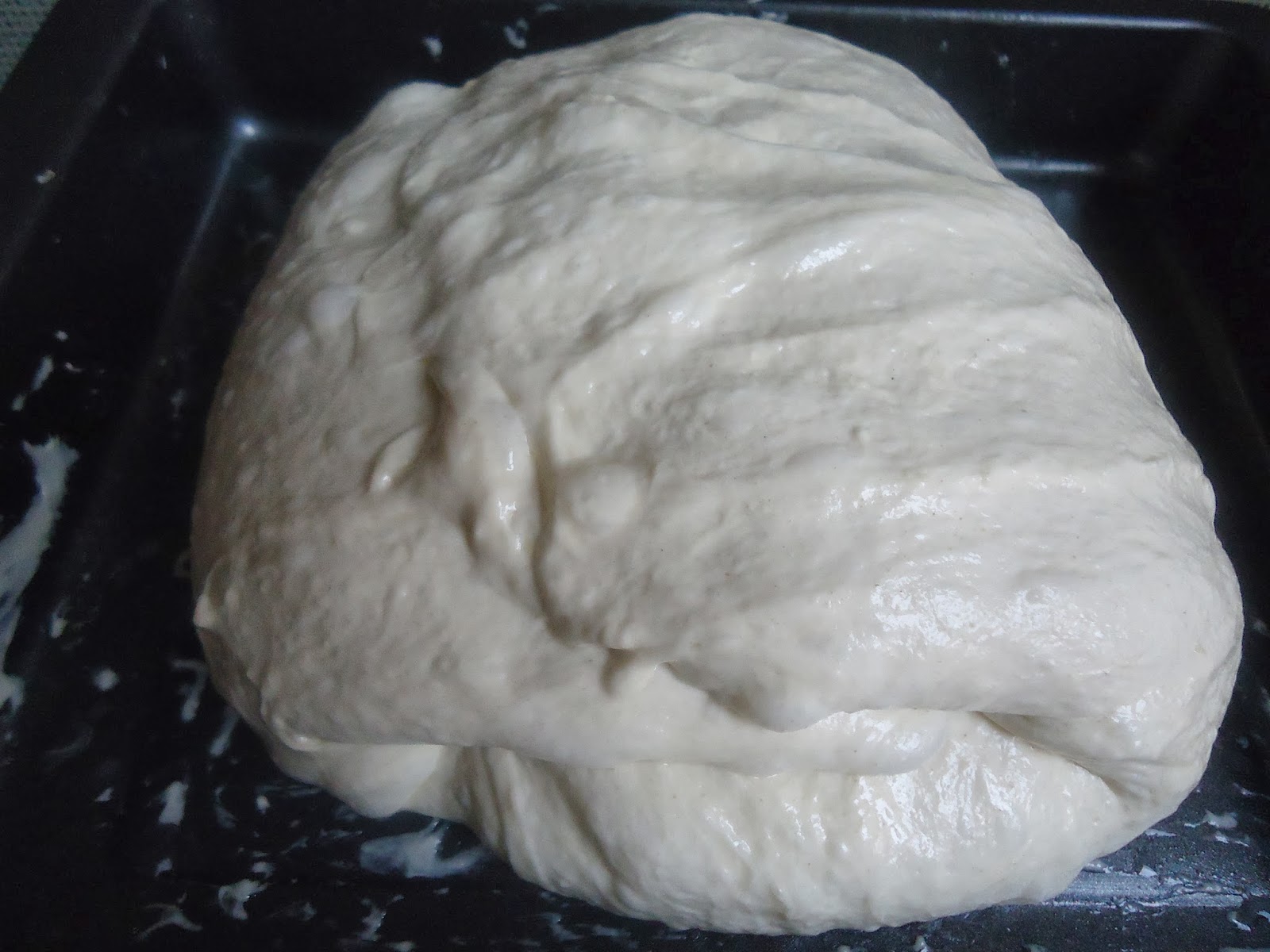 Pan Ciabatta y un nuevo miembro