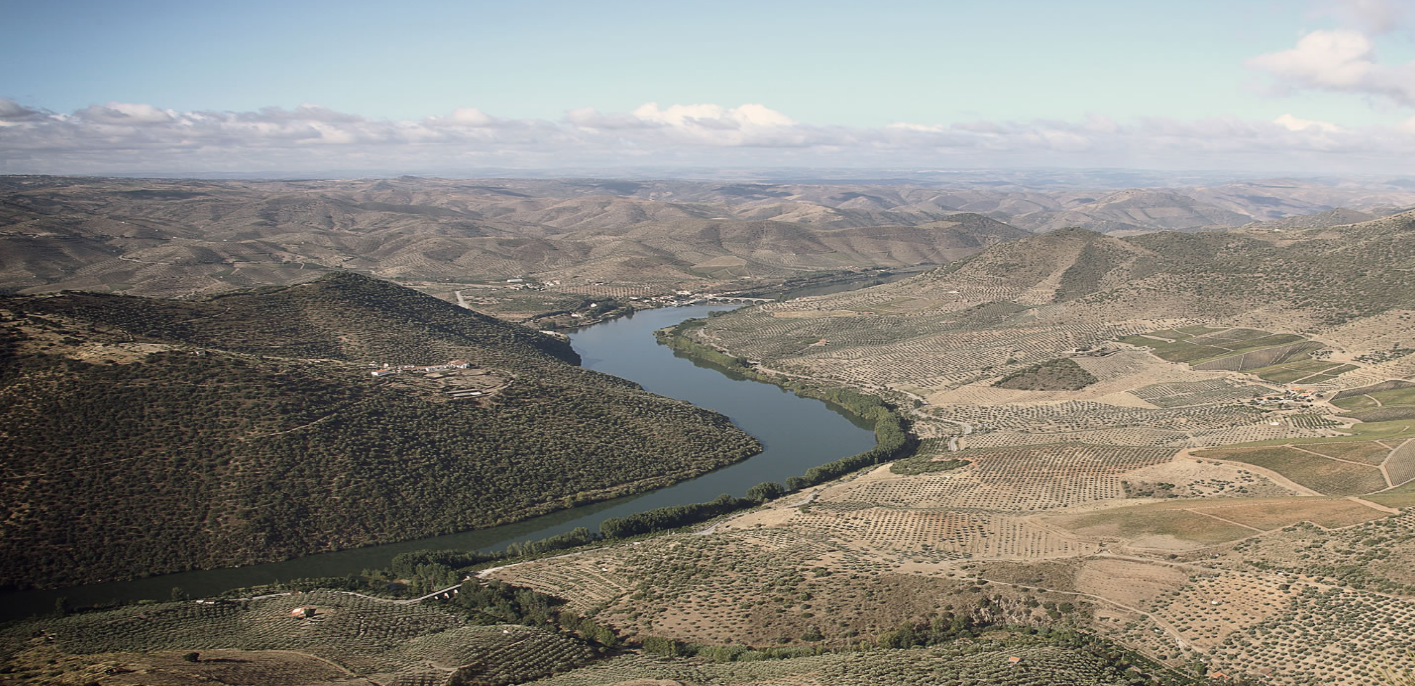 A vida secreta dos vinhos: Montes Ermos Reserva Branco