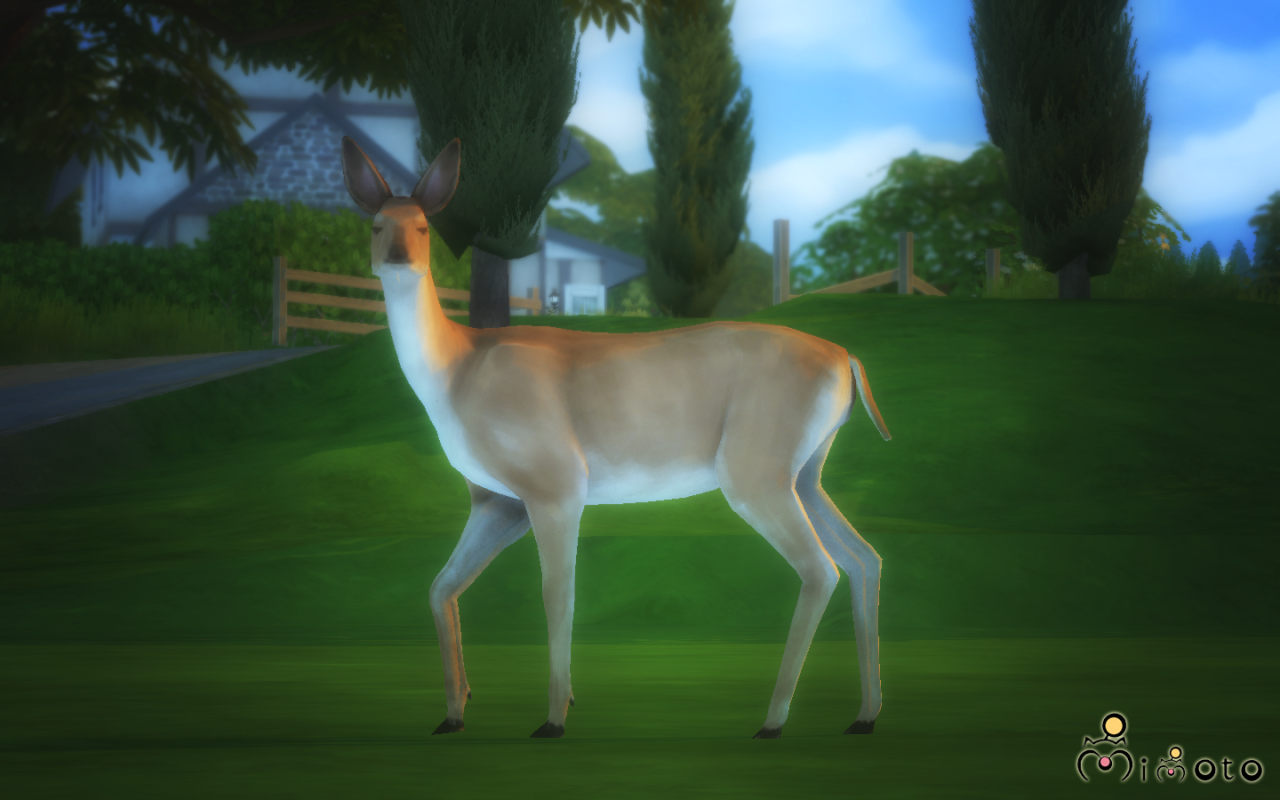 Fantasy creatures sims 4 custom content packs - trinityvsa