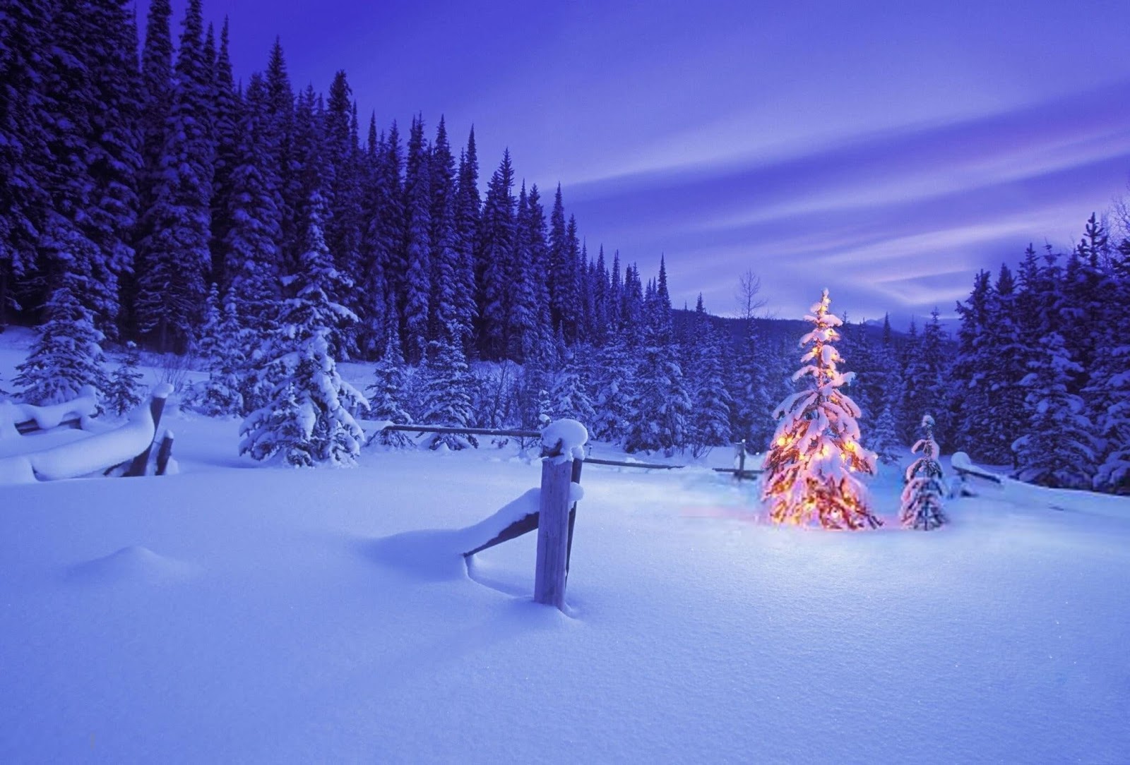 Christmas Scenes Images & Christmas Scenes Wallpaper in HD