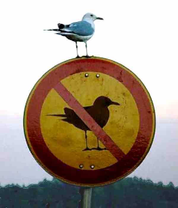 Wiki World: January 2016