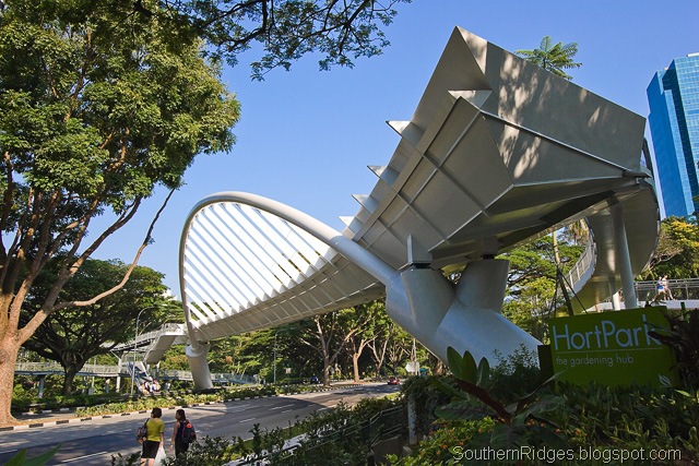 Alexandra Arch Day & Night scenes – Southern Ridges at night