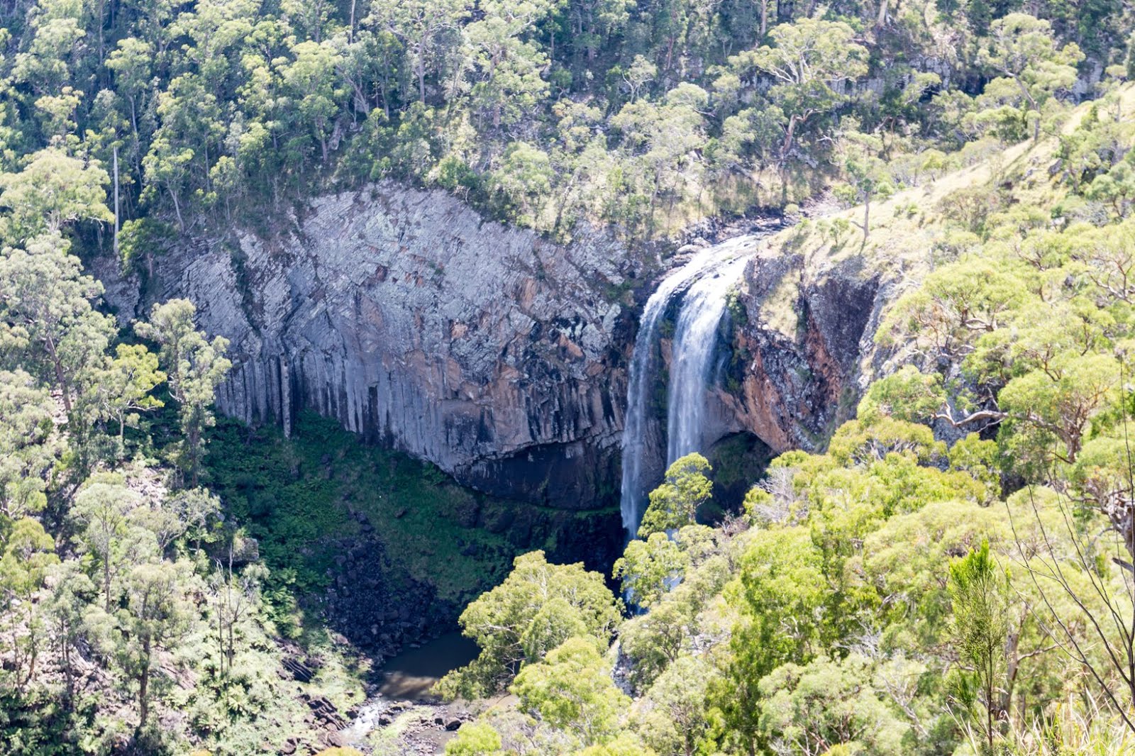 National Park Odyssey: Ebor Falls, Guy Fawkes River National Park, NSW.