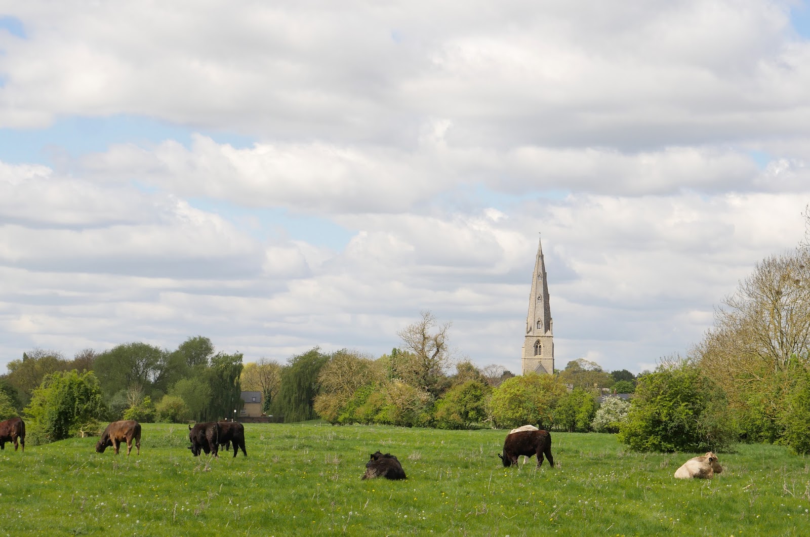 Walking in the country: Olney, Clifton Reynes and Emberton