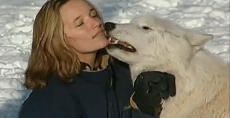 White Wolf : Helene Grimaud - A Life of Music and Dancing with Wolves ...