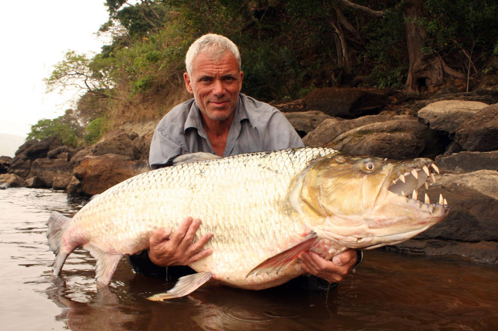 El Río Congo. La fauna del corazón de las tinieblas.