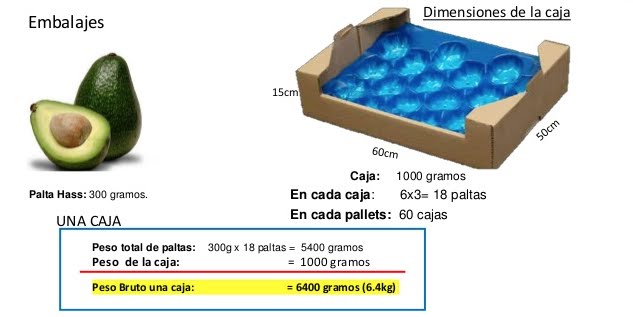 Exportación de Palta: septiembre 2018