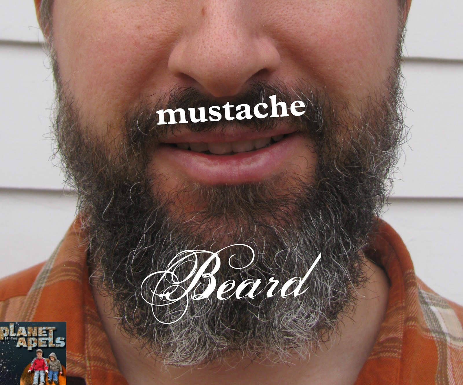 An Apel a Day: CanYouHandlebar EDC Kit: Wisdom Beard Oil and Wax Review