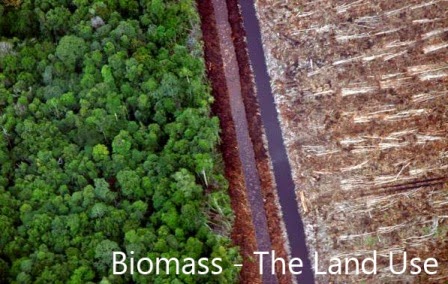 What are The Environment Impacts of Biomass ~ How Energy Work