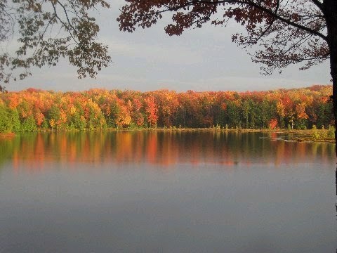 Big Mind Learning: ANCHORED AT CRANBERRY POND, by Anne Kiely